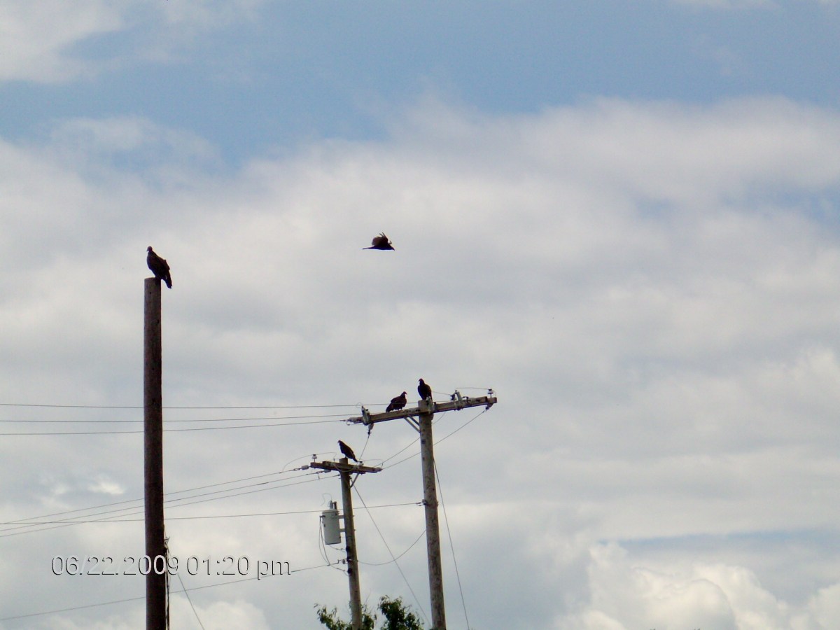 Smart Small Cell Deployment Backhaul Efficiencies – Smarter Tech Solutions